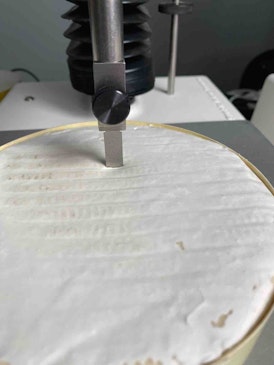 Brie and Camembert Tested Four Ways | Texture Technologies